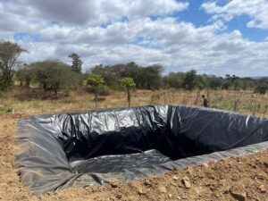 The Essential Guide to Plastic Dam Liners: Benefits, Types, and ...