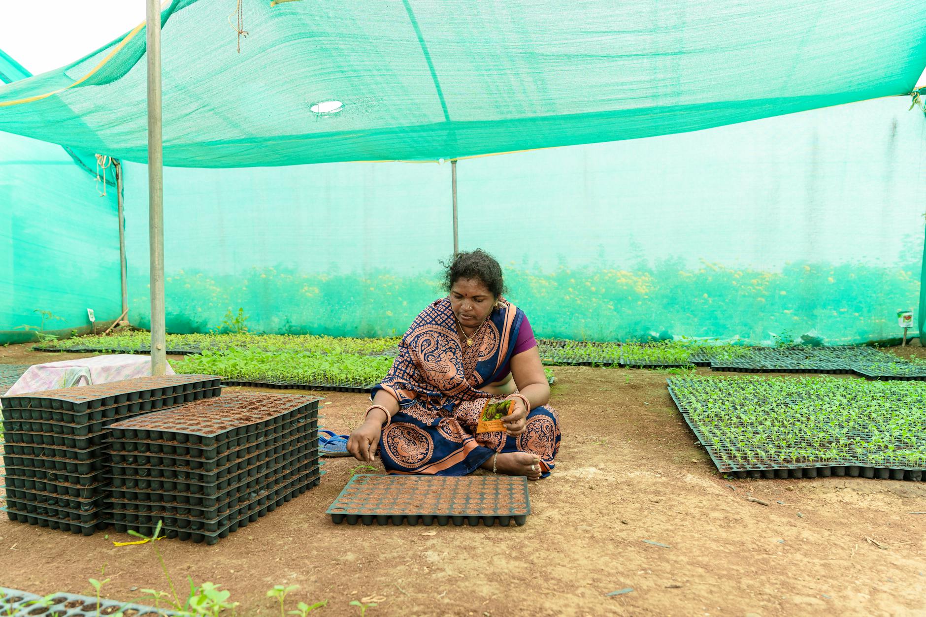 Affordable Crop Protection Nets: A Comprehensive Guide - Prime Variable ...