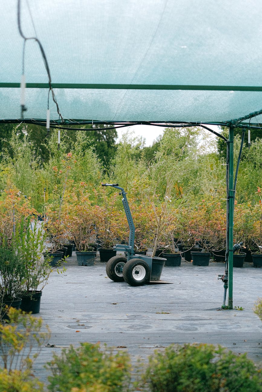 The Importance of Agricultural Netting: A Comprehensive Guide to ...