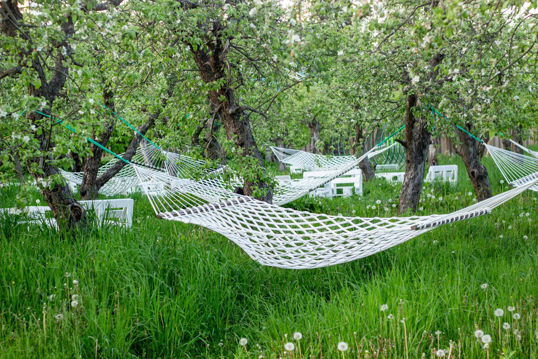 The Best Shade Net for Vegetable Farming: A Comprehensive Guide to ...